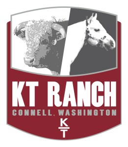 KT Ranch | Working Ranch Quarter Horses for Sale in Connell, WA