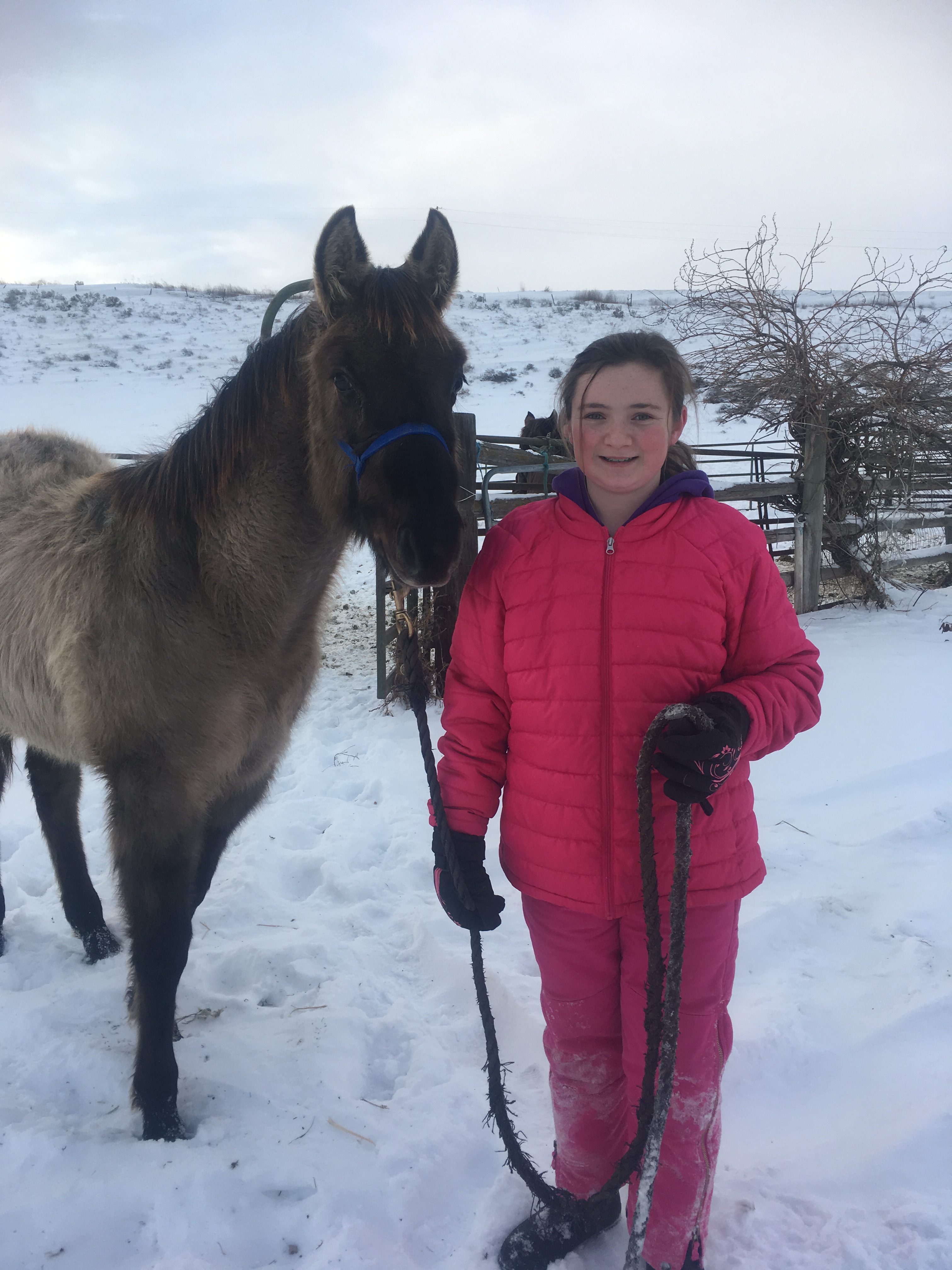 KT Gunners Sage Bug | KT Ranch