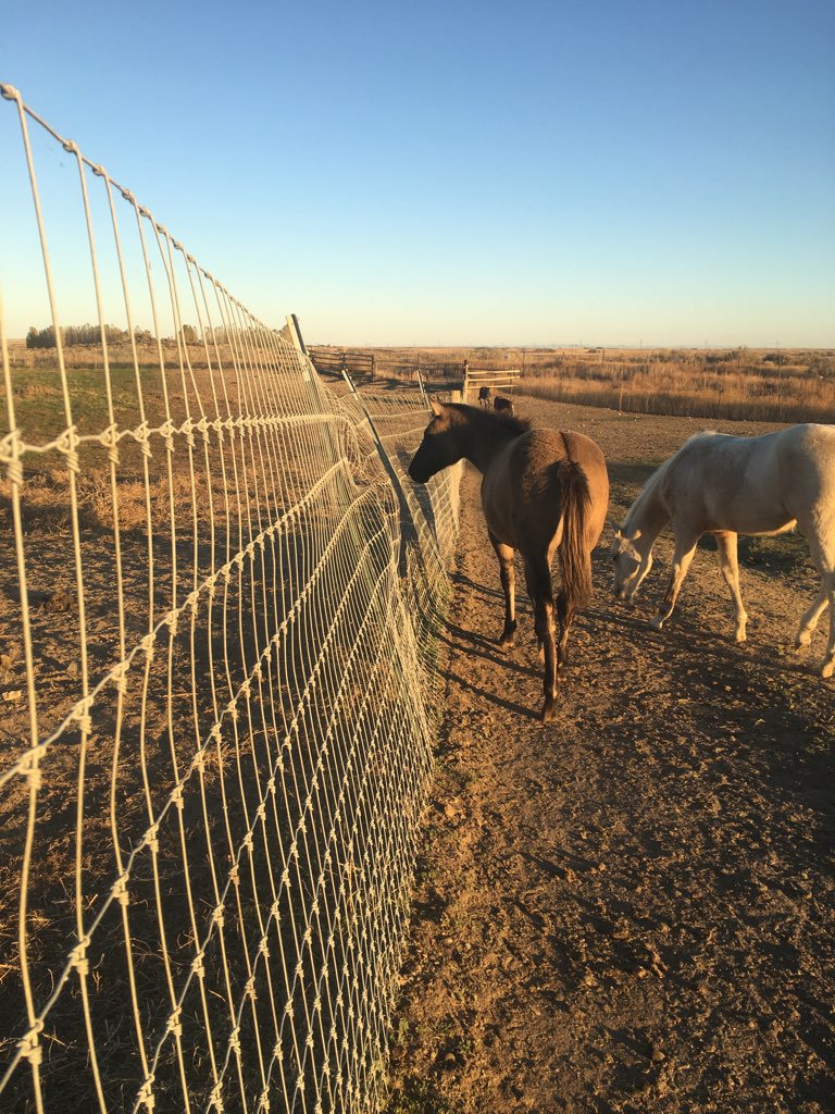 681483008939865565741530.jpeg | KT Ranch