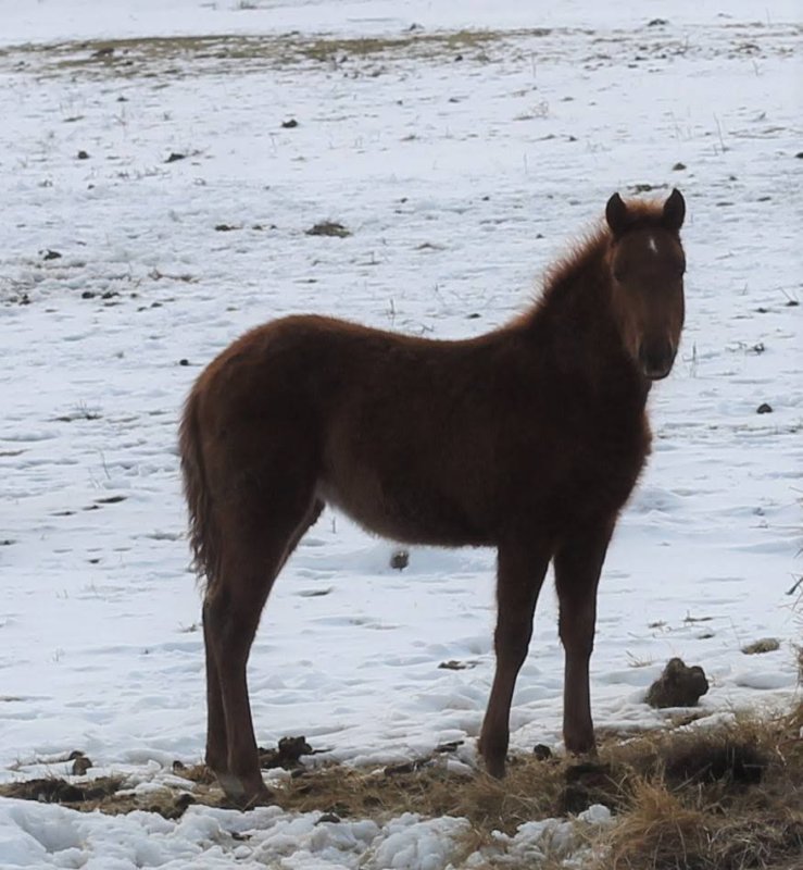 rich feb 20193095649790642514541..jpg | KT Ranch