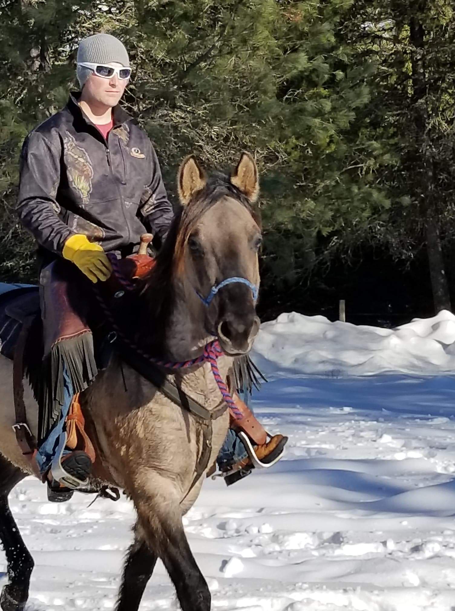 KT Gunners Sage Bug | KT Ranch