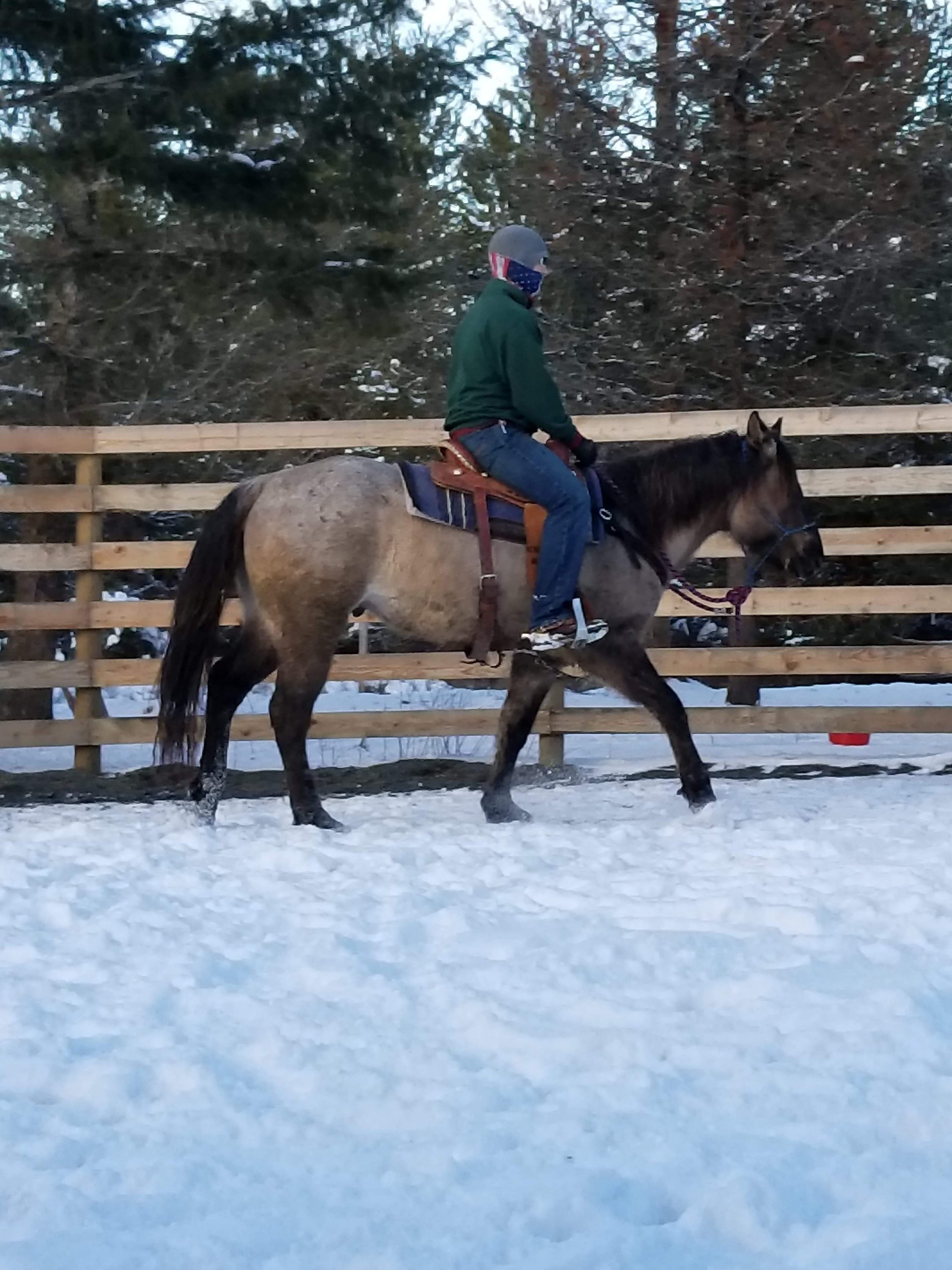 KT Gunners Sage Bug | KT Ranch