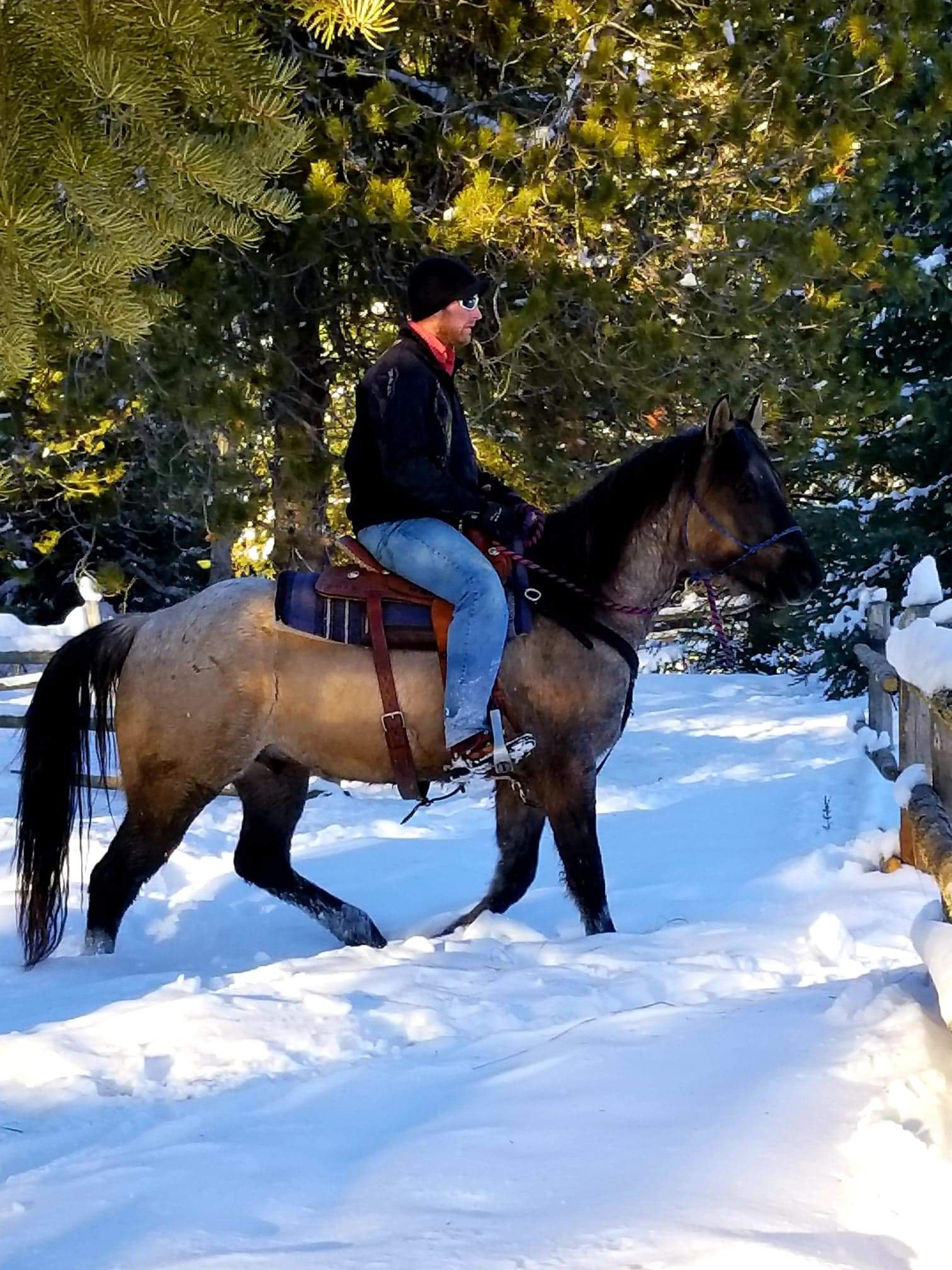 KT Gunners Sage Bug | KT Ranch