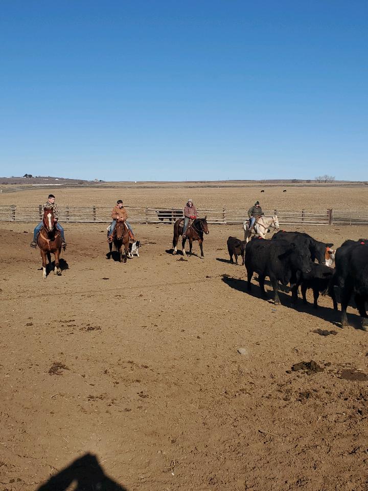 wp-1583099088789.jpg | KT Ranch