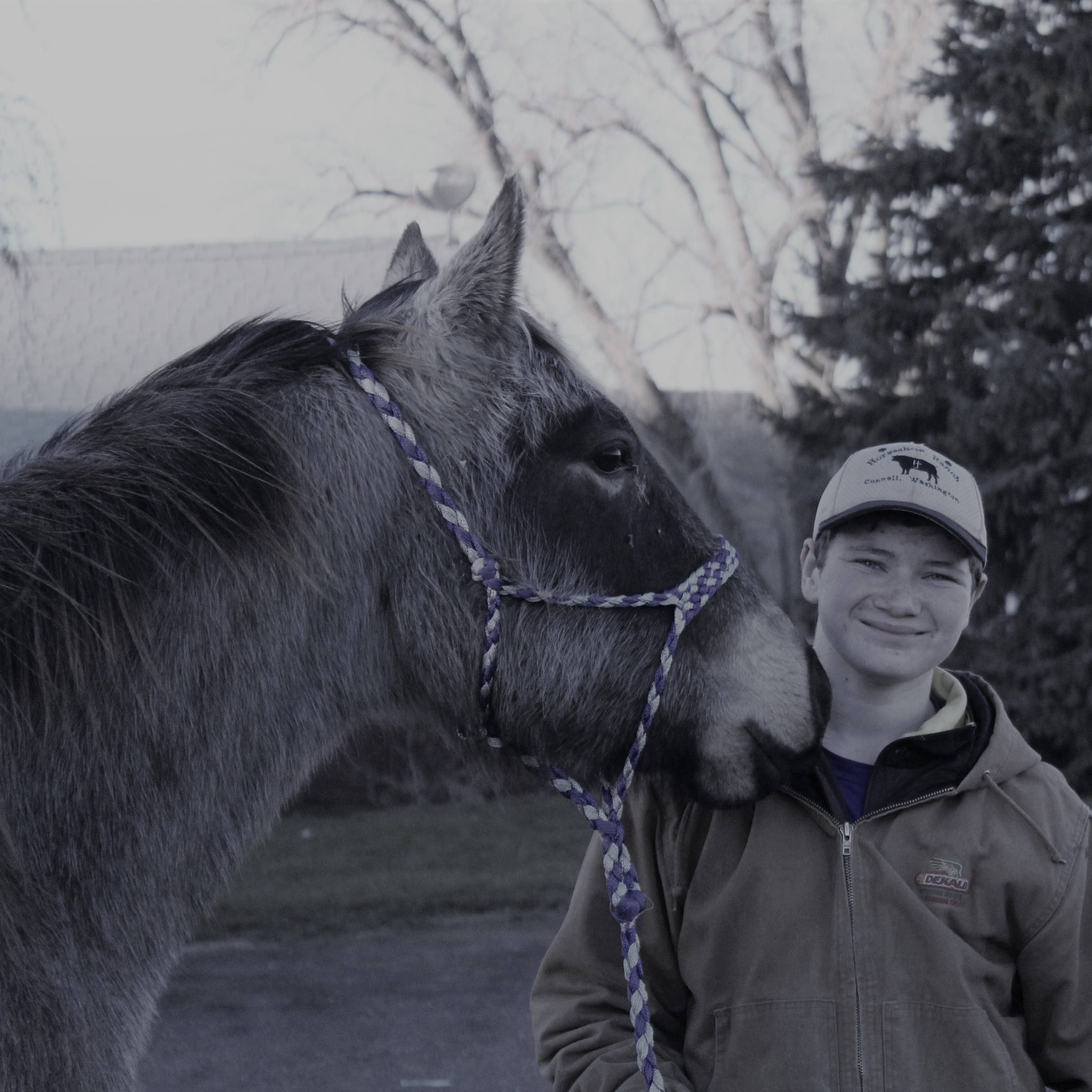 #MareMonday KT Shotgun Sally | KT Ranch