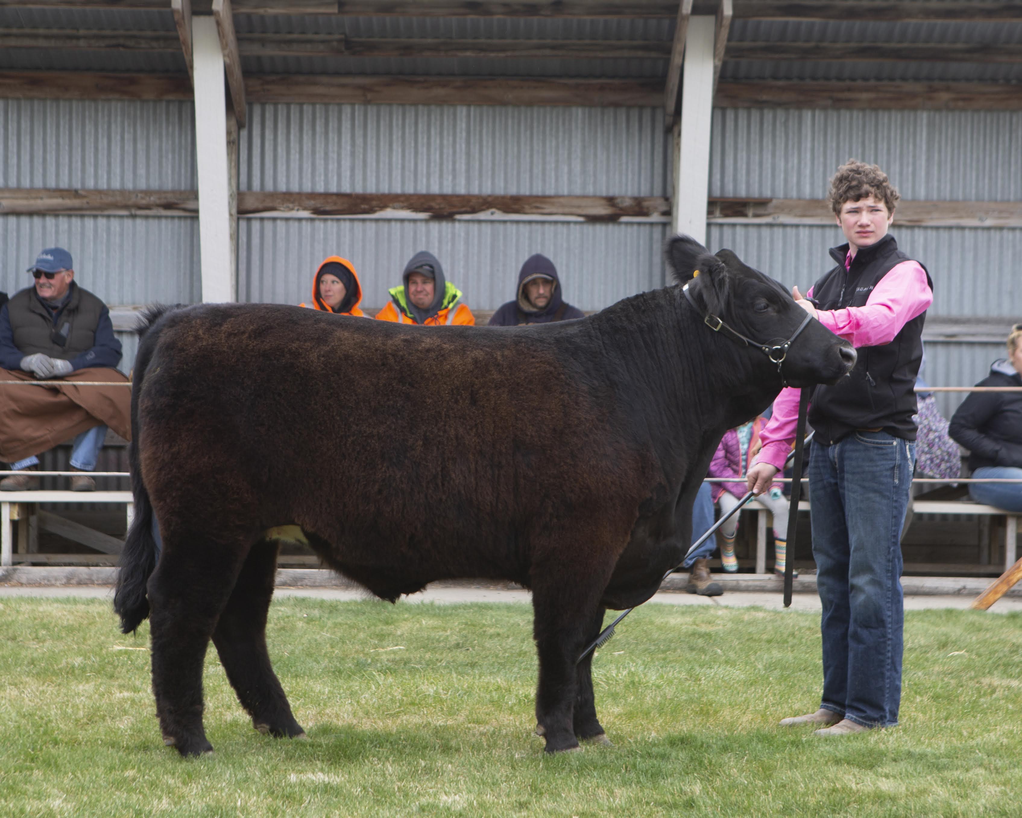 Come down and support our Youth at the Spokane Jr Livestock Show ...