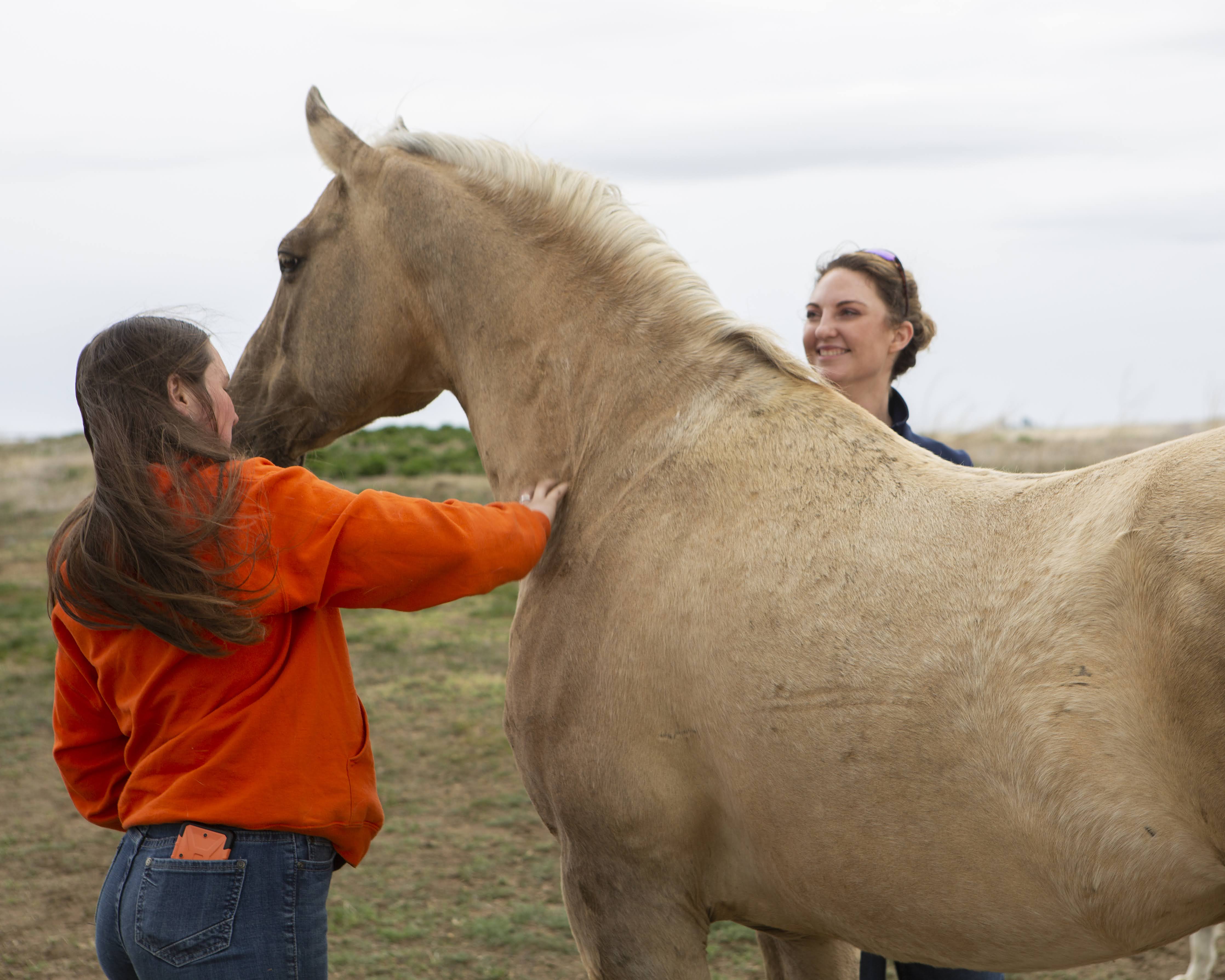 Doll Docsan | KT Ranch
