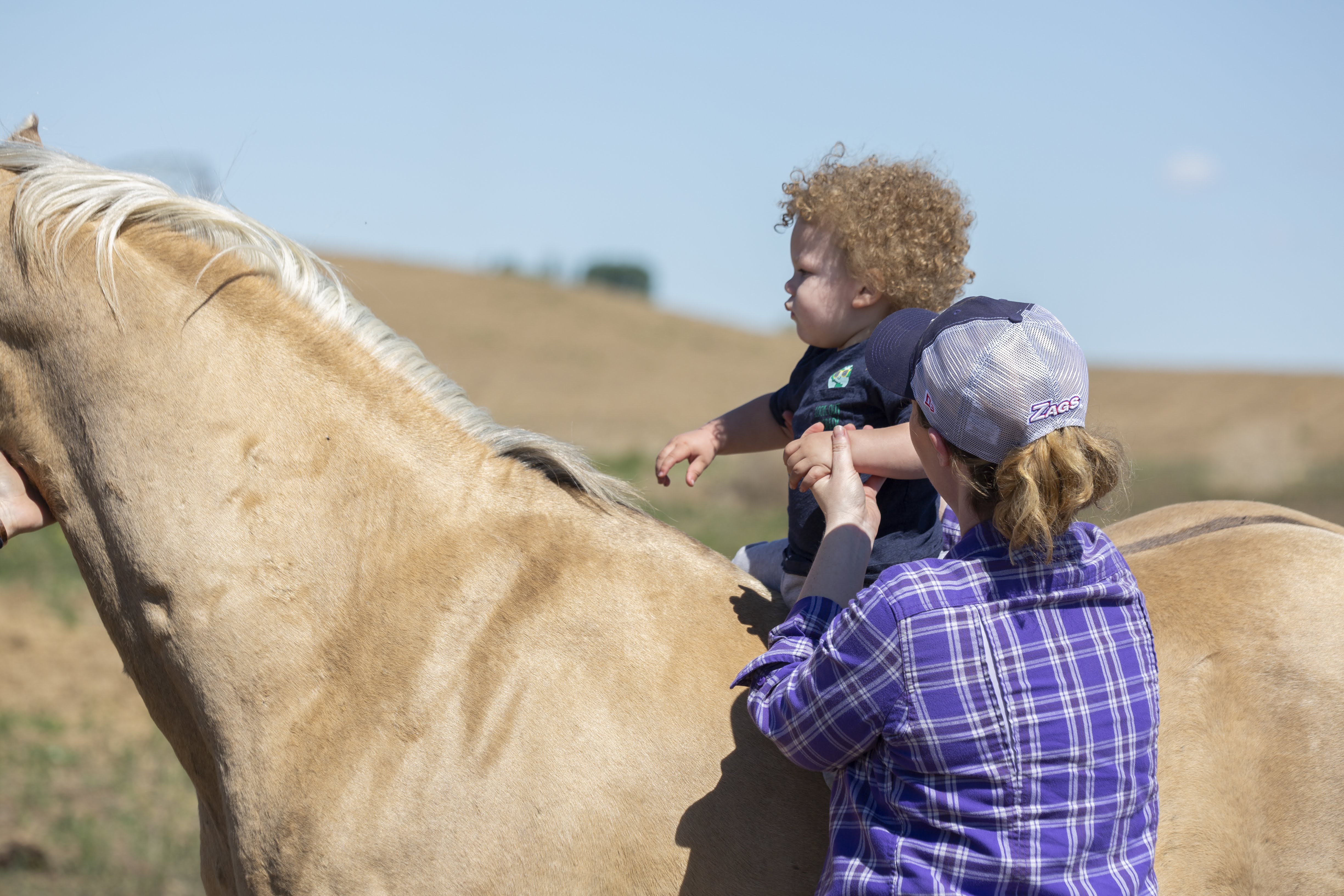 Doll Docsan | KT Ranch