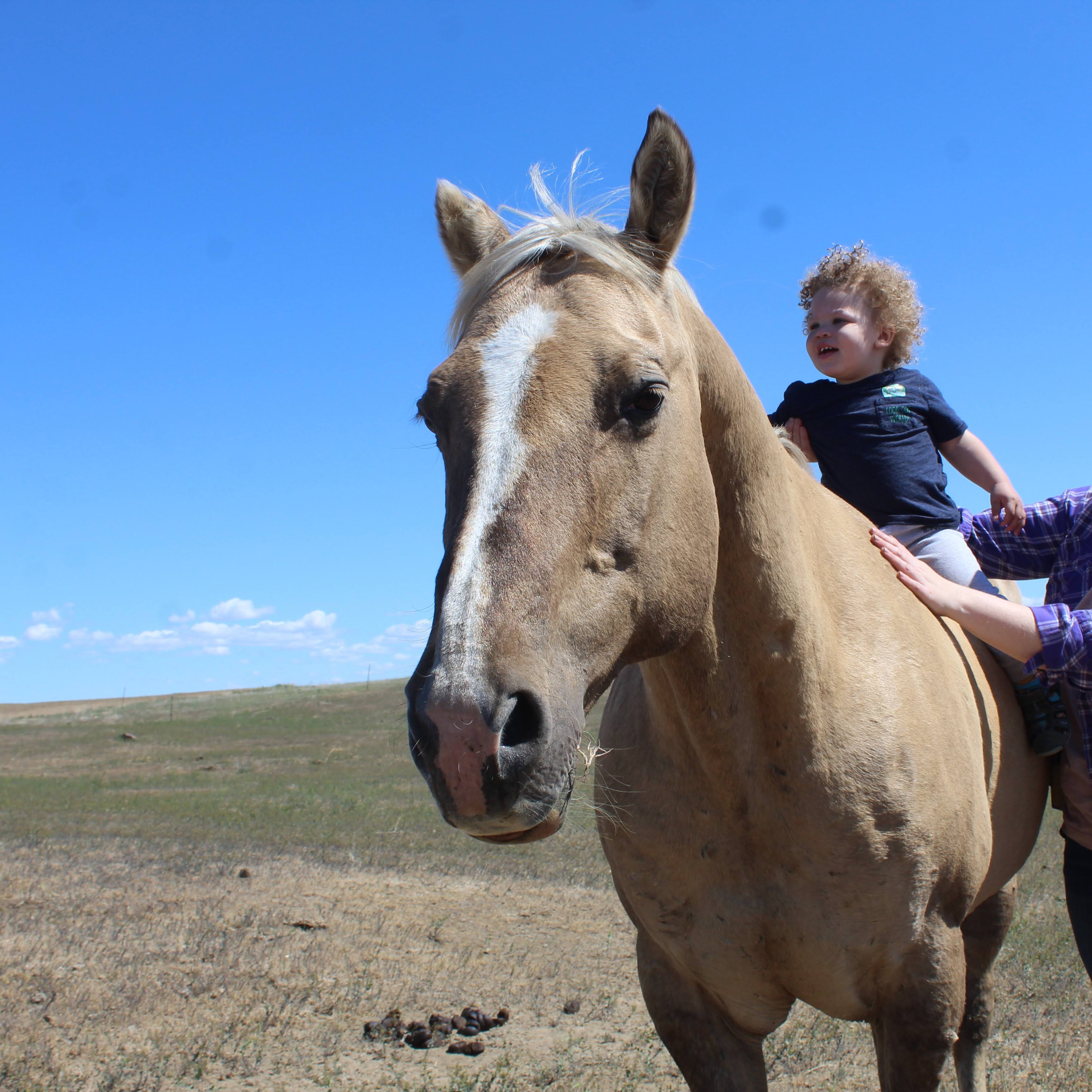 Doll Docsan | KT Ranch