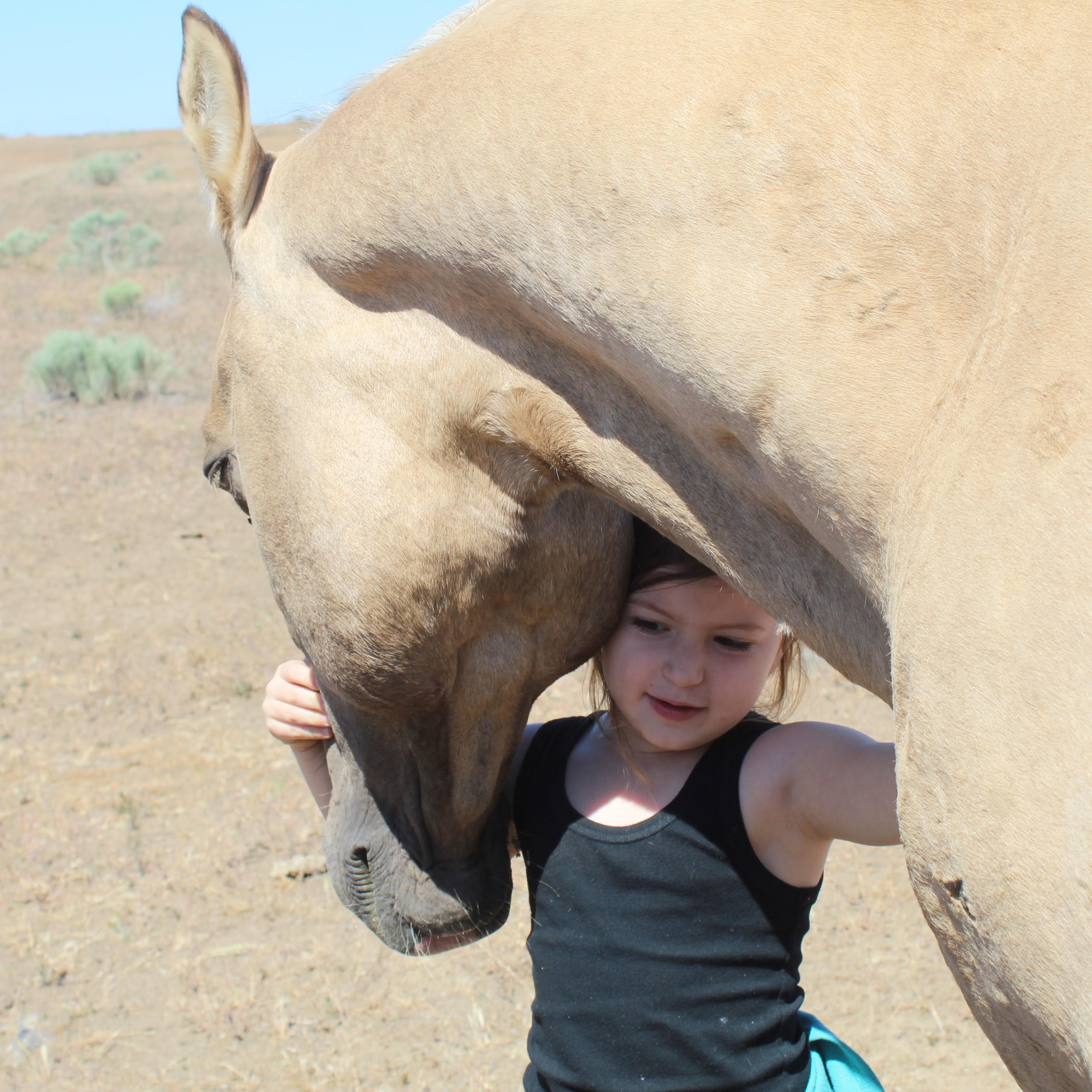 Doll Docsan | KT Ranch