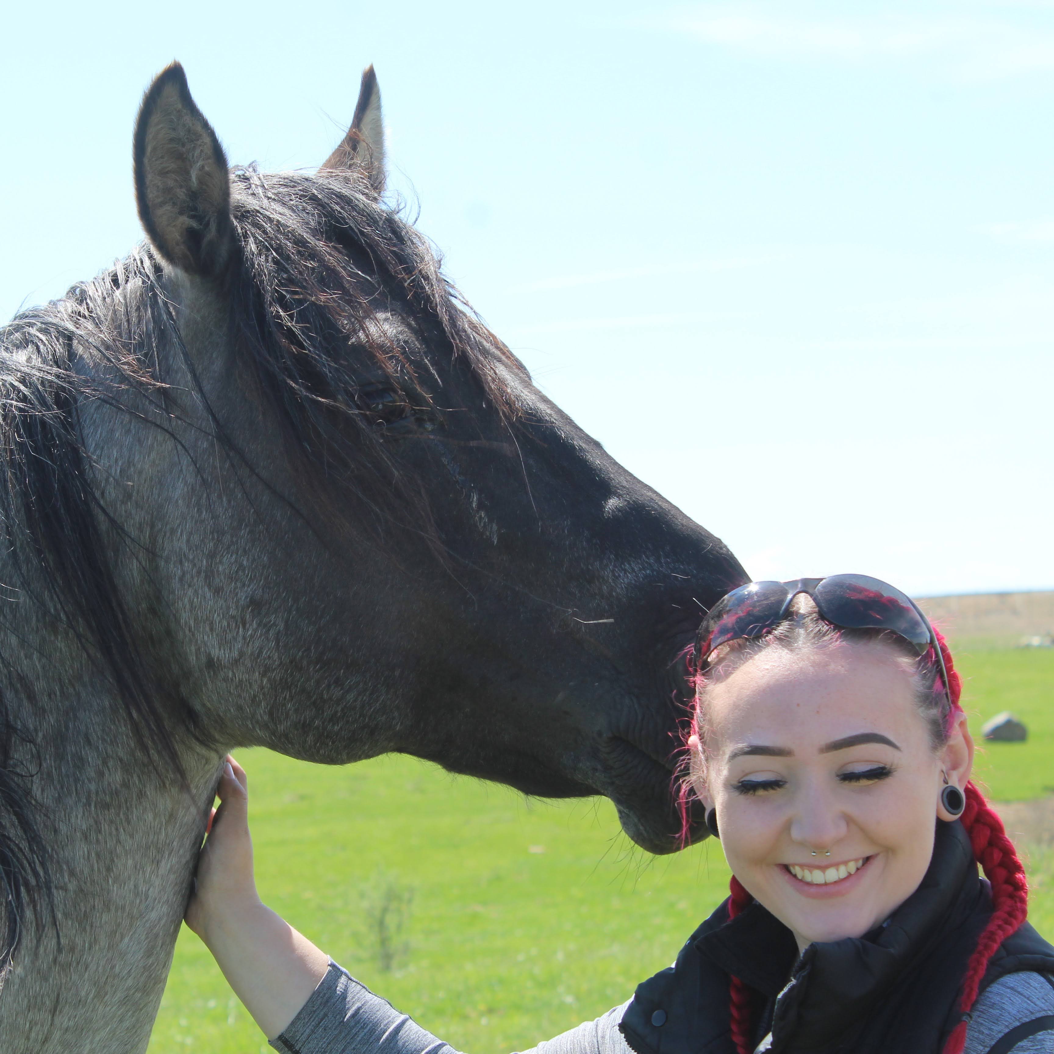 KT Gunners Sage Bug | KT Ranch