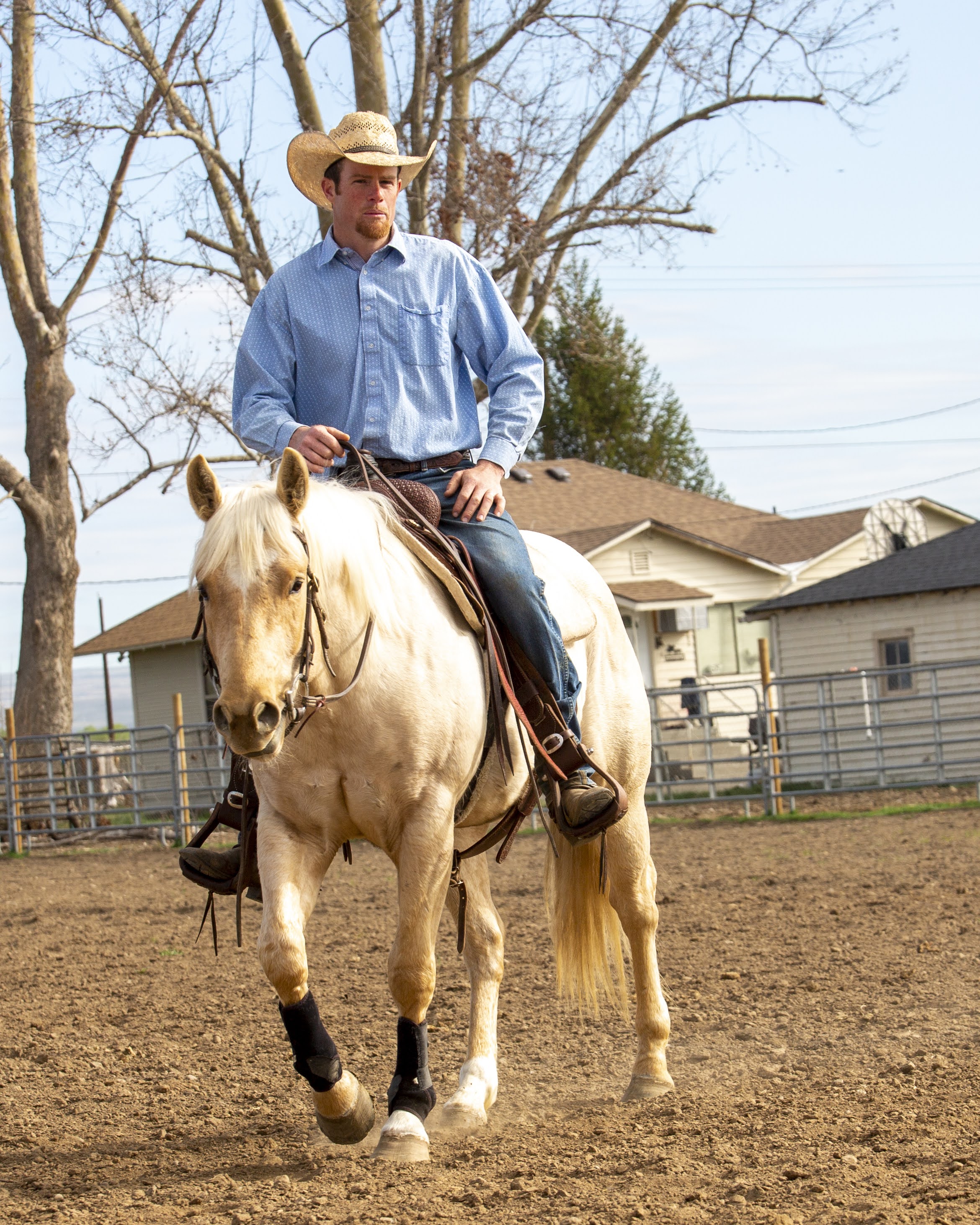 KT Ranch | Working Ranch Quarter Horses for Sale in Connell, WA