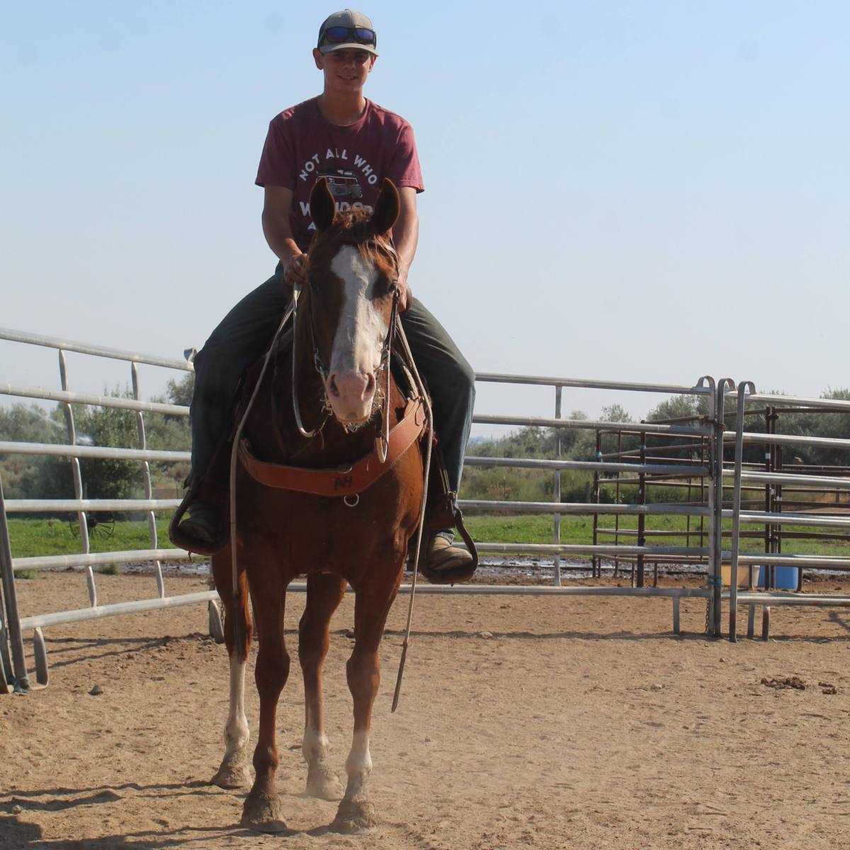 #MareMonday Promising Style, “Minnie” | KT Ranch