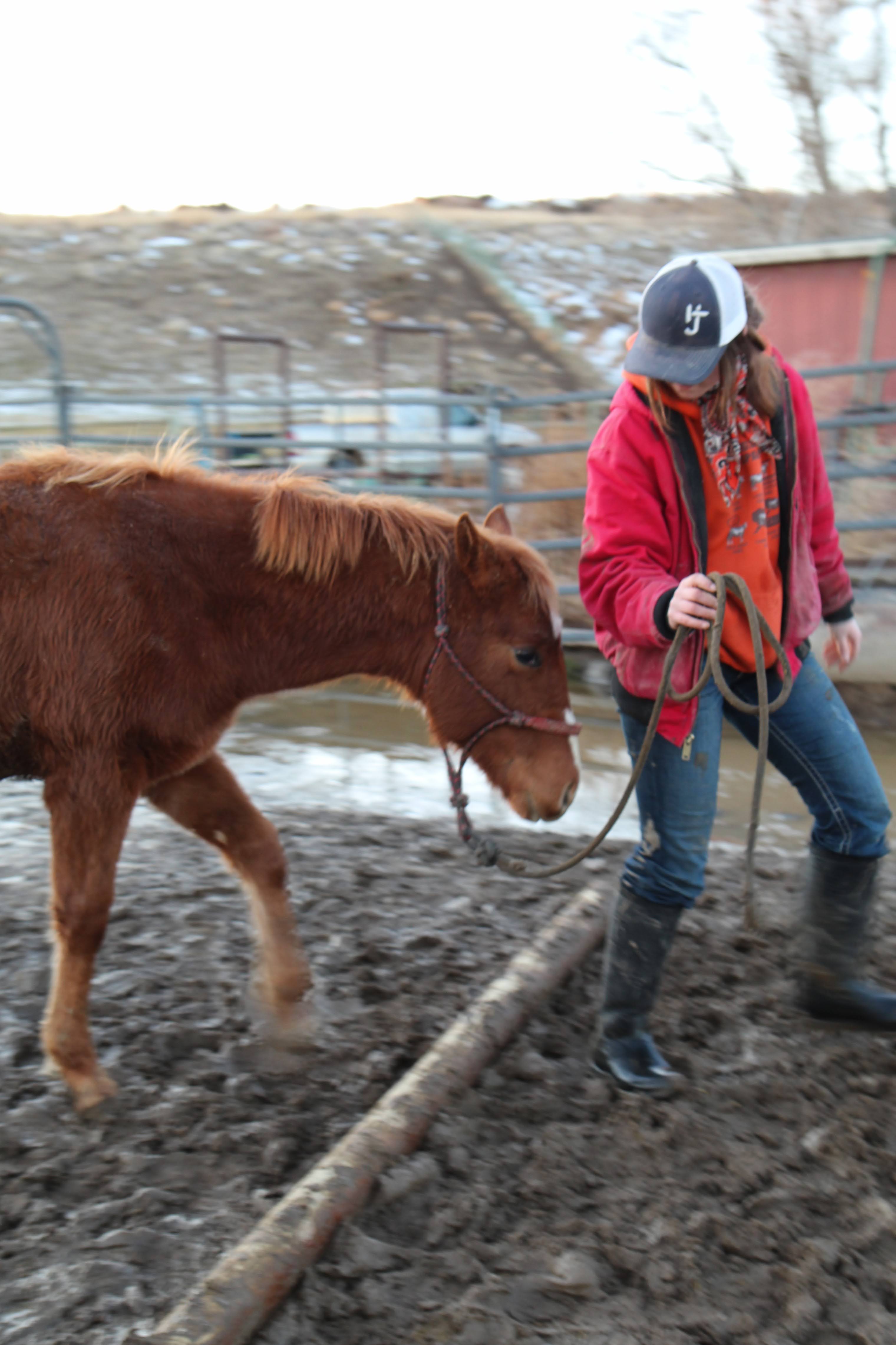 Gunnie and Anna Dec 2022-2 | KT Ranch