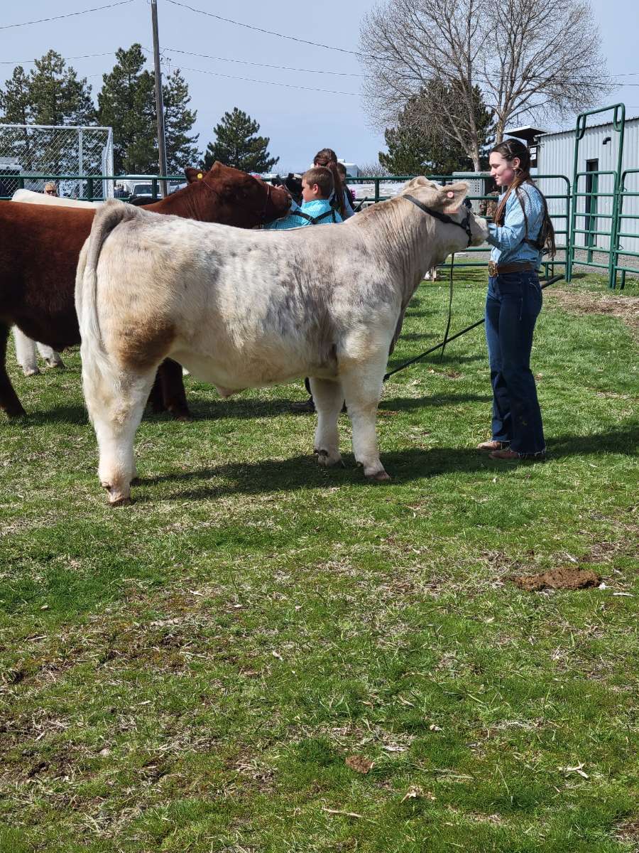 Snapchat-894065068 | KT Ranch