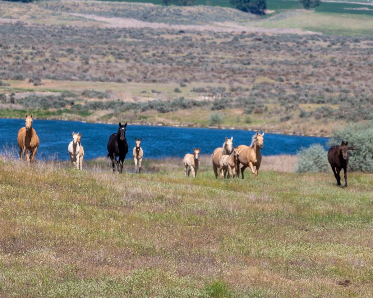 Lots going on, like normal. | KT Ranch