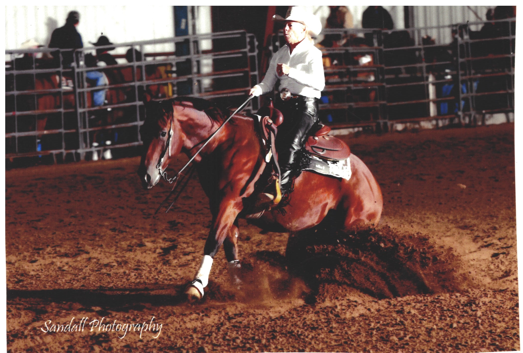 Meet the Mares: Lonesome Jaebargina, “Gina” | KT Ranch