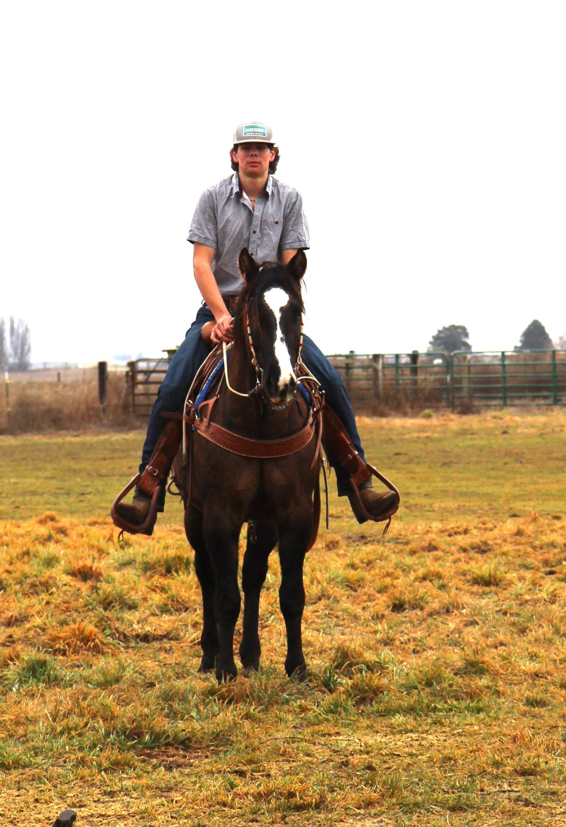 KT Ranch | Working Ranch Quarter Horses for Sale in Connell, WA
