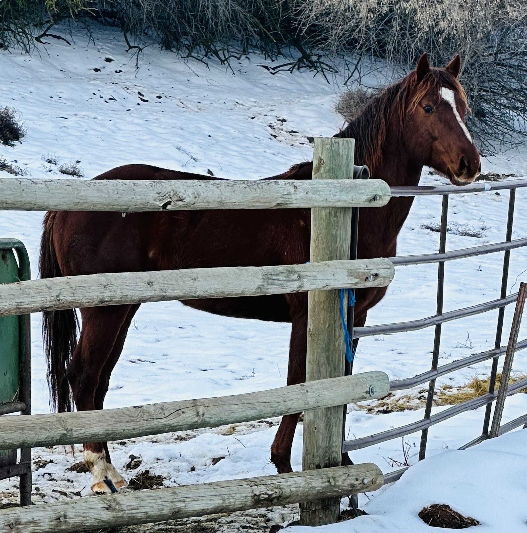 Snapchat-263462111 | KT Ranch