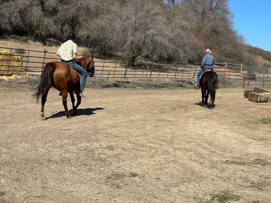 Snapchat-1166815867 | KT Ranch