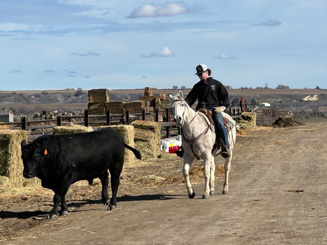 Snapchat-238154316 | KT Ranch