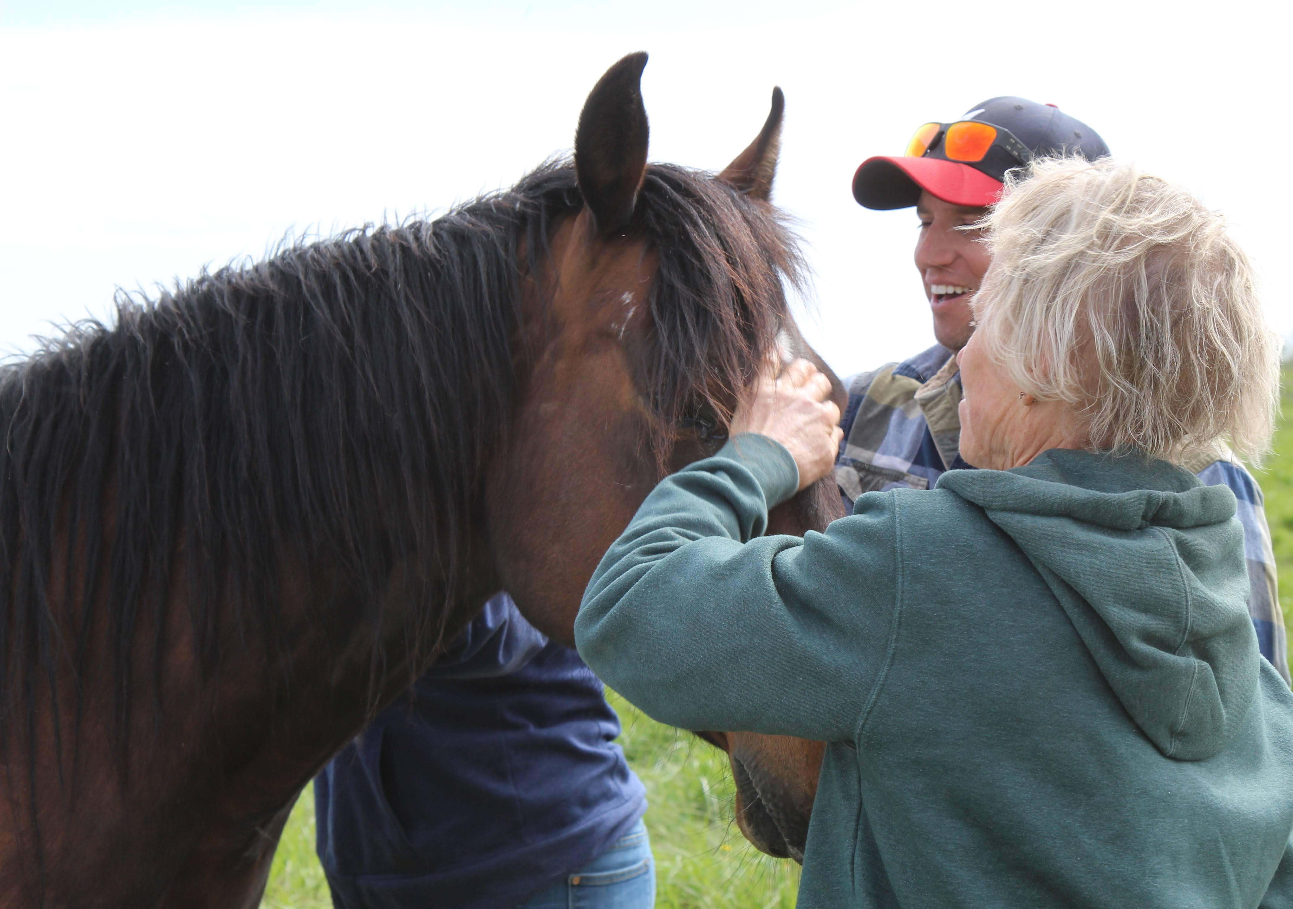 Meet the Mares: Oakasionally Breezy “Breezy” | KT Ranch