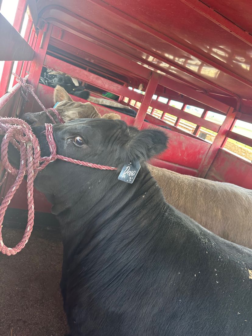 Snapchat-1244807852 | KT Ranch