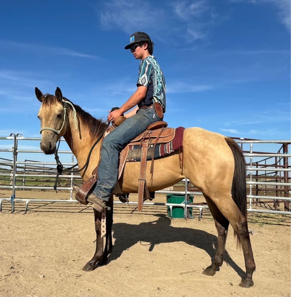 Sale Page | KT Ranch