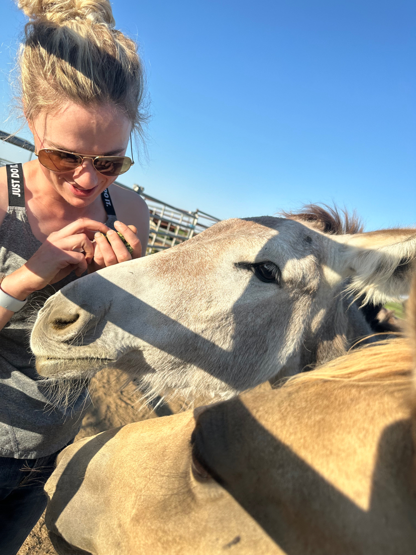 Snapchat-712833312 | KT Ranch