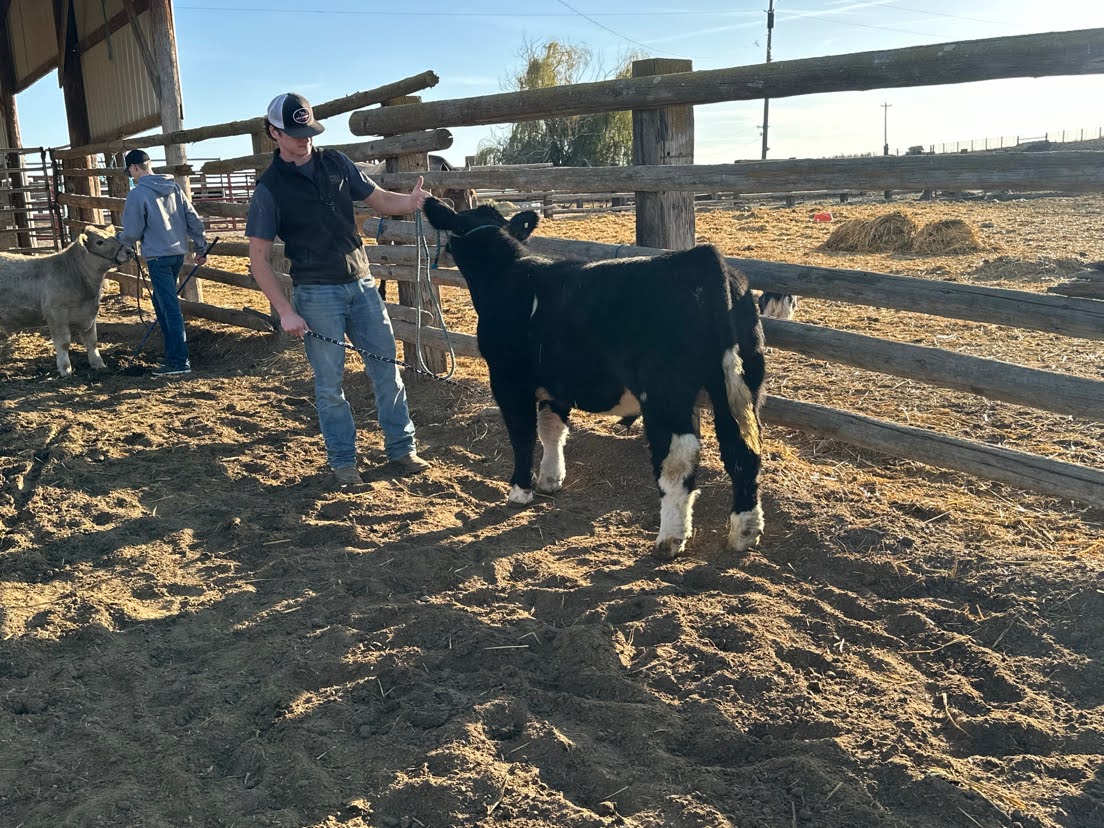 Snapchat-1040526502 | KT Ranch