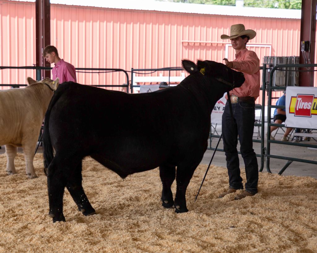 Come and Check out the Market show at CBJLS Today | KT Ranch