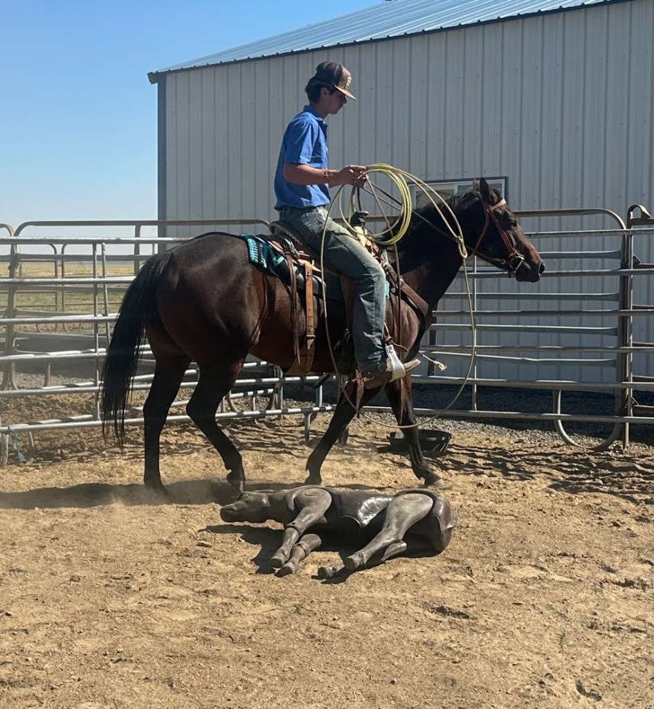 Dudes Wimpy Pine 631 “Sadie” | KT Ranch