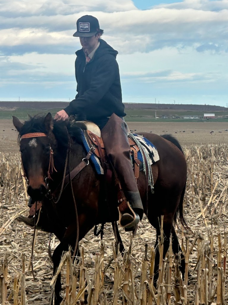 Last Week in Pictures: Lots of Pictures this week. | KT Ranch