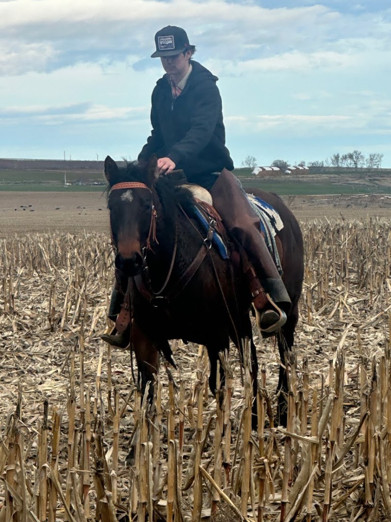 Last Week in Pictures: Lots of Pictures this week. | KT Ranch